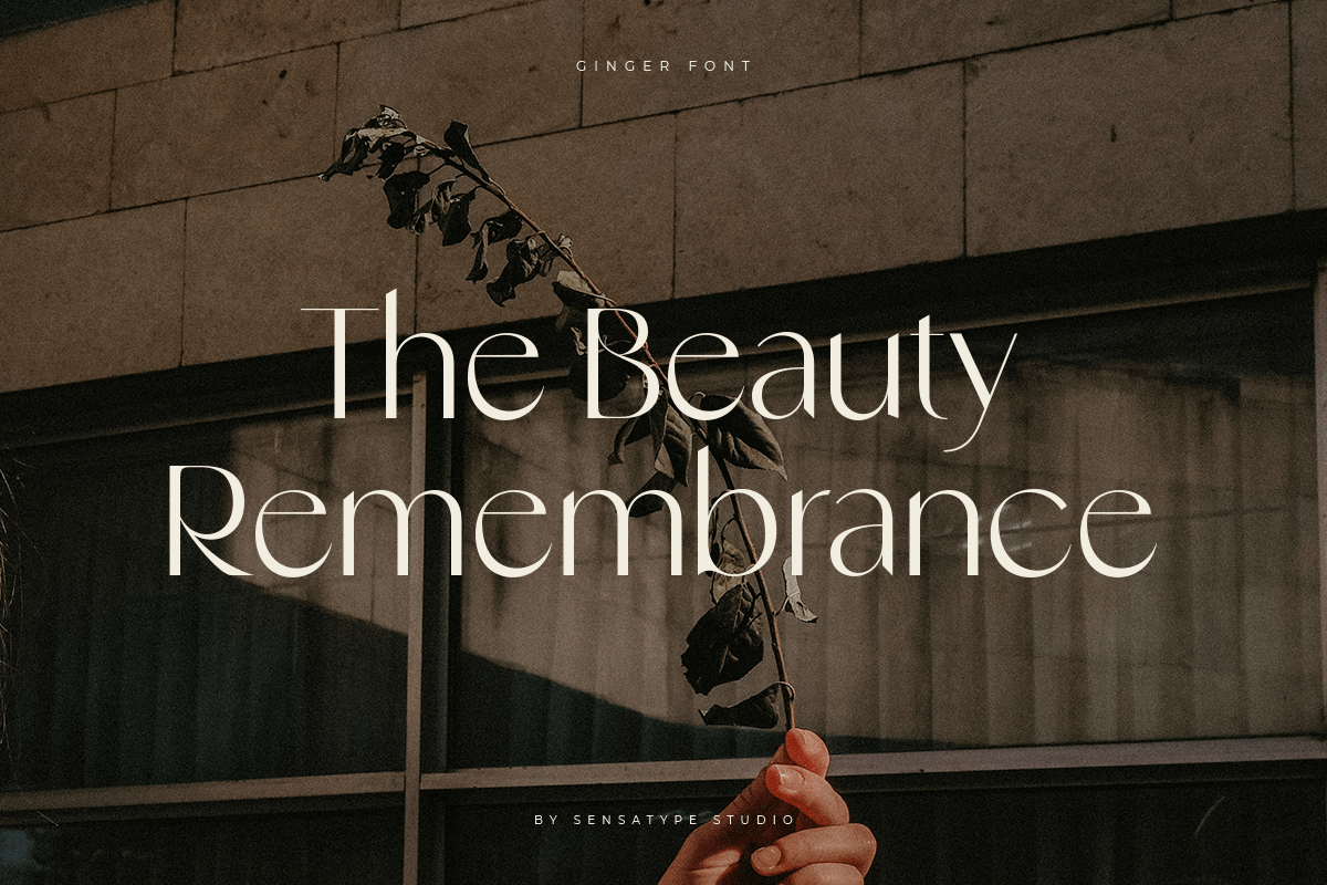 Ginger - Modern Stylish Font – Sensatype Studio